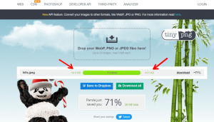 JPG vs JPEG - What's the Difference? (Ultimate Guide)